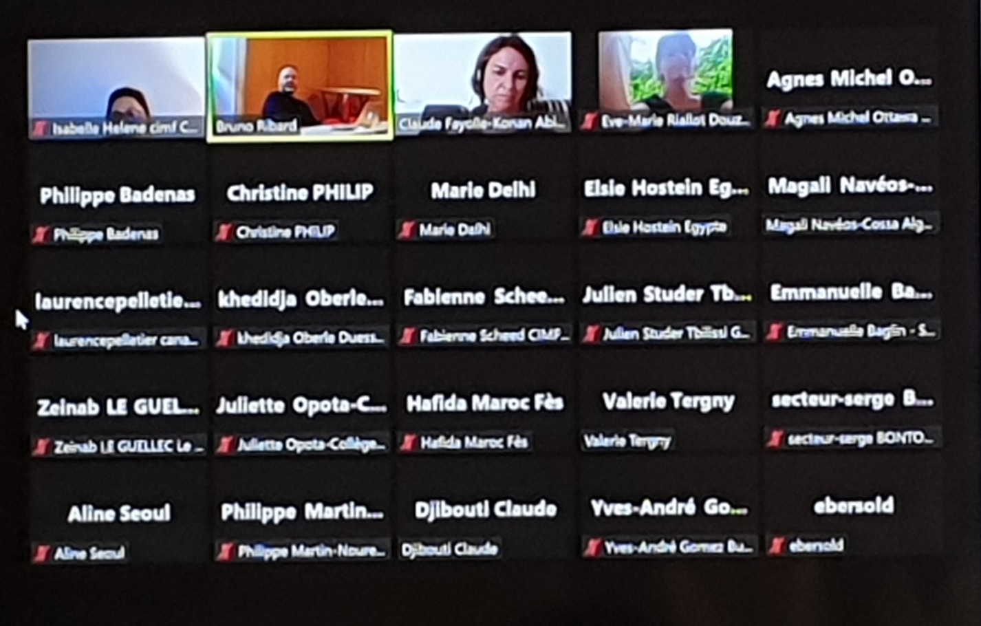 Webinaire « Inclusion des EBEP et plurilinguisme » 12 avril 2023 – FSU-SNUipp HDF